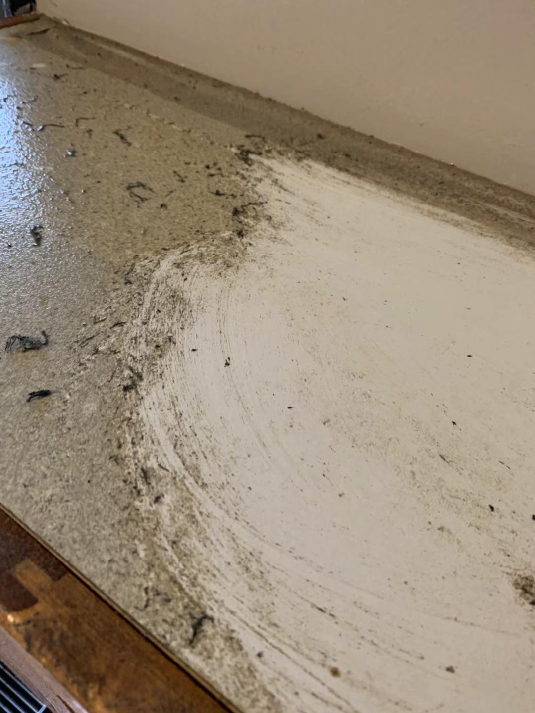 House Cleaners Parramatta (with Prices) | Sydney Cleaning Services ...